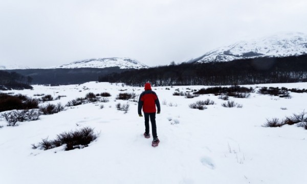 Full Day Nieve (NTK)